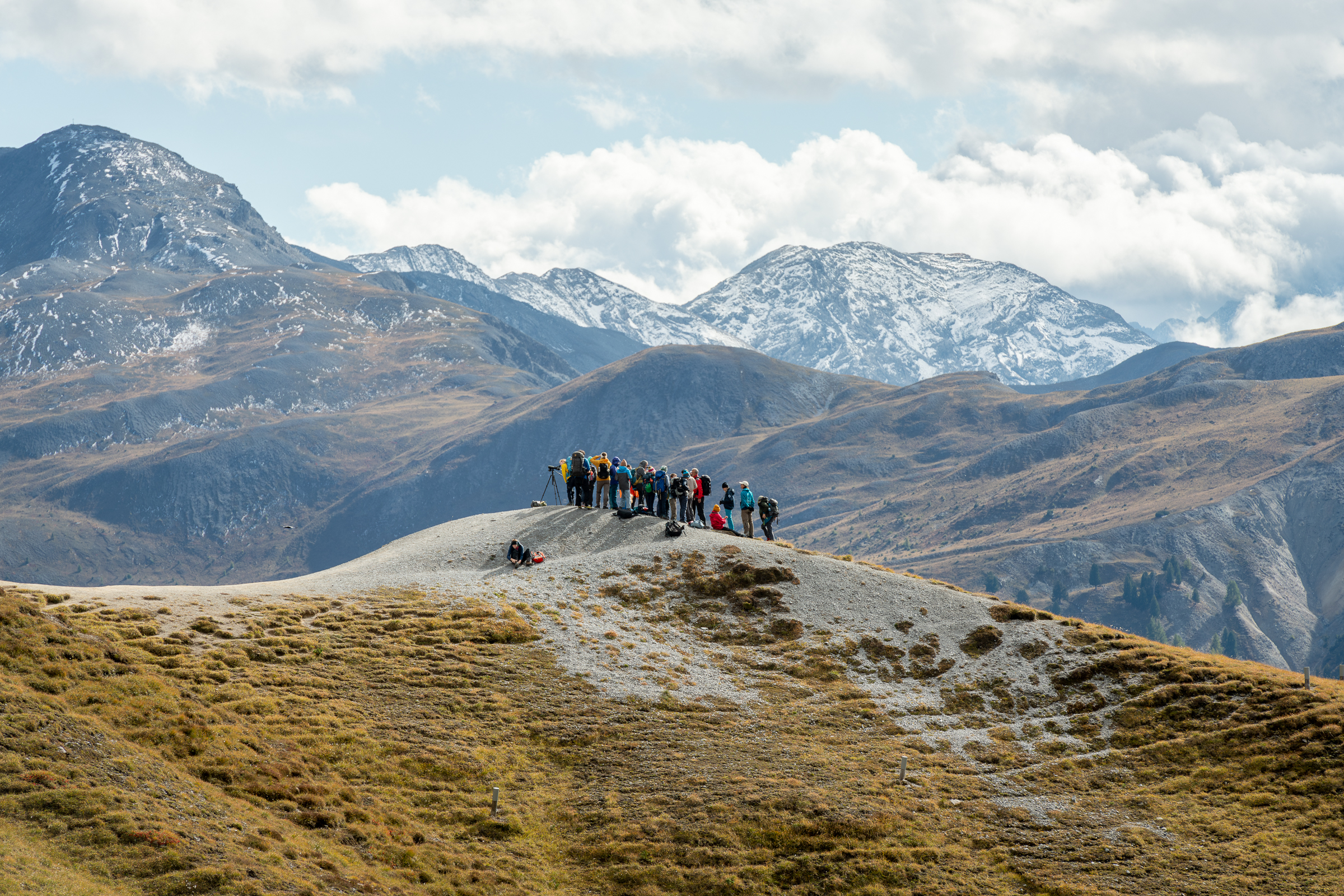 Organisation pour la protection de la nature es des espèces | WWF Suisse