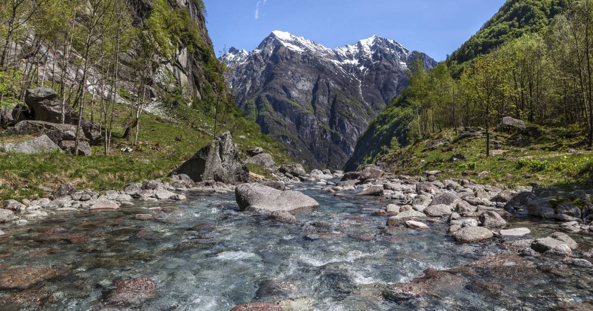 Nationale Klima- und Energiearbeit | WWF Schweiz