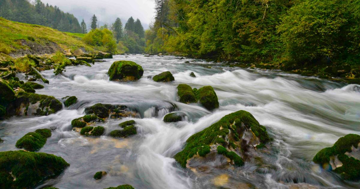 Flüsse und Seen – In unserem Element | WWF Schweiz
