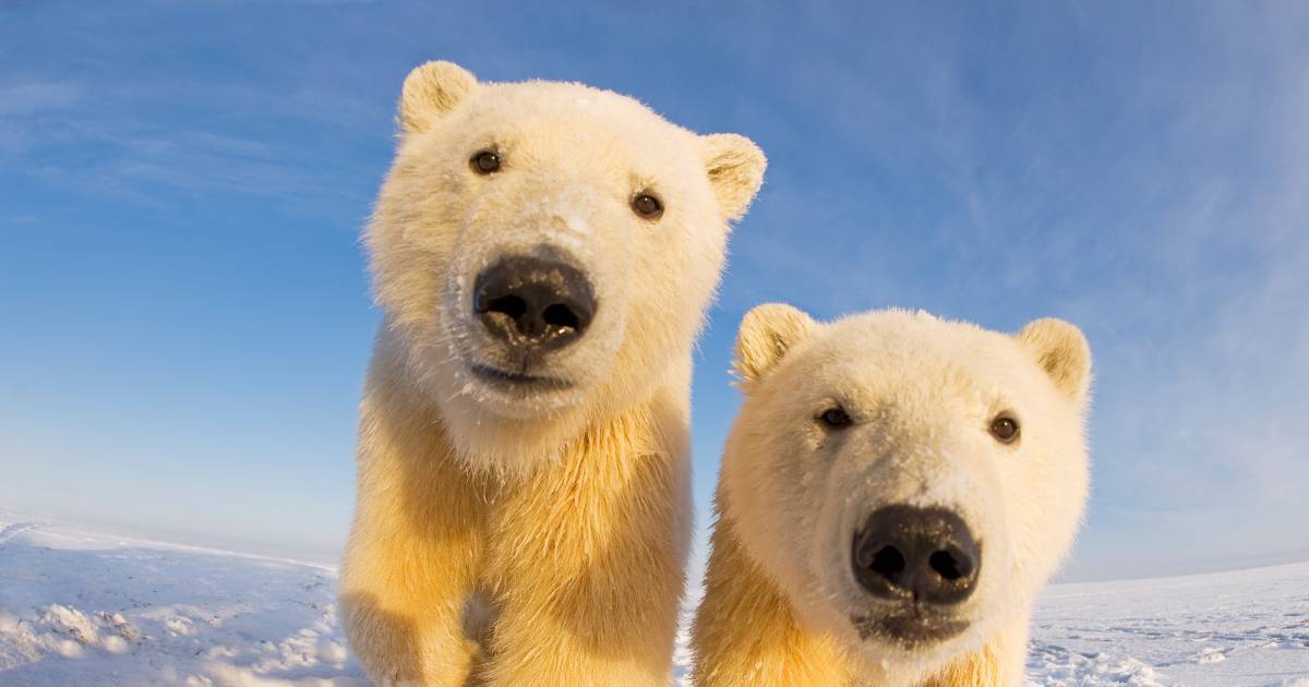 Kontakt | WWF Schweiz