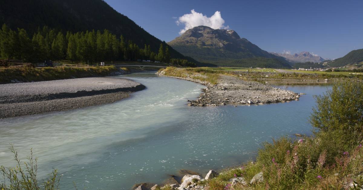 Paradis des zones alluviales alpines: L'Inn | WWF Suisse