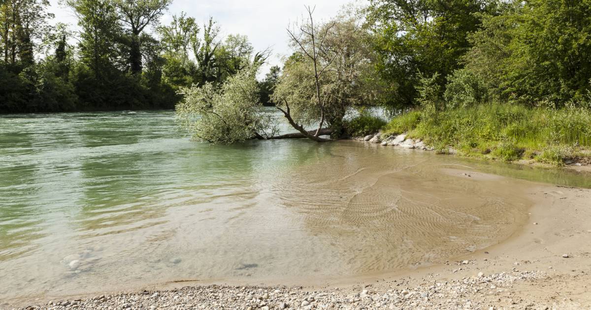 Ausflugsziel Reuss - die Ungezähmte | WWF Schweiz