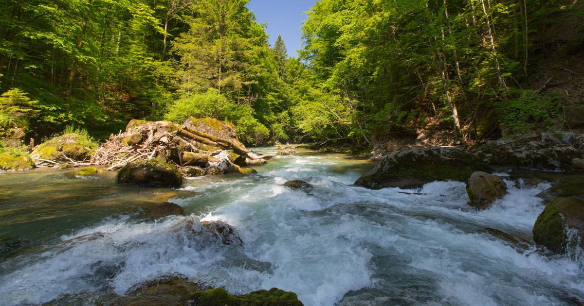 Découvrez nos perles de rivière | WWF Suisse