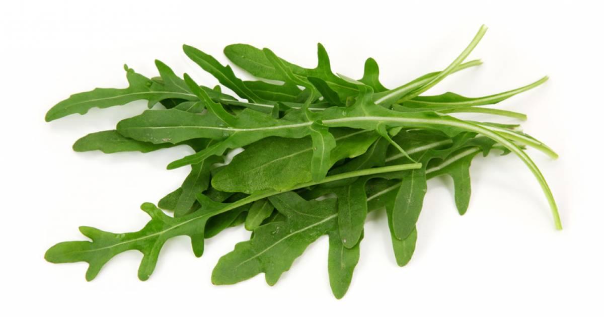 WWF Einkaufsratgeber: Hat Rucola gerade Saison?