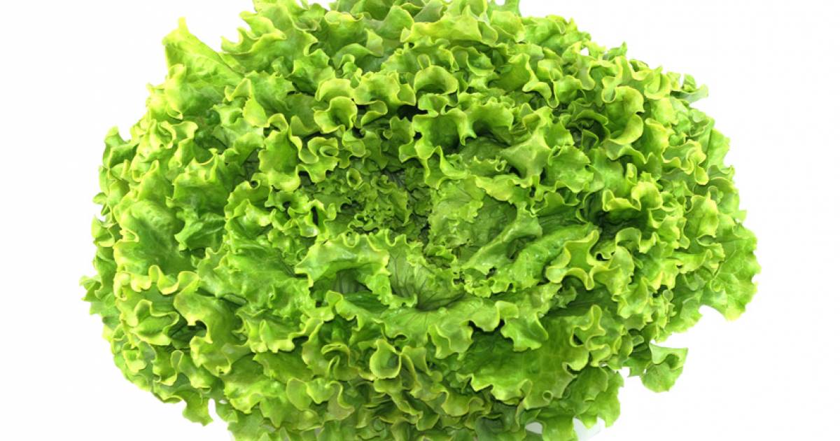 Guide d'achat WWF: est-ce la saison des Batavia?