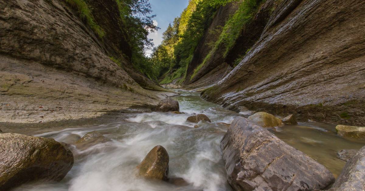 Ausflugsziel Goldach – spektakuläre Schluchten im Osten | WWF Schweiz