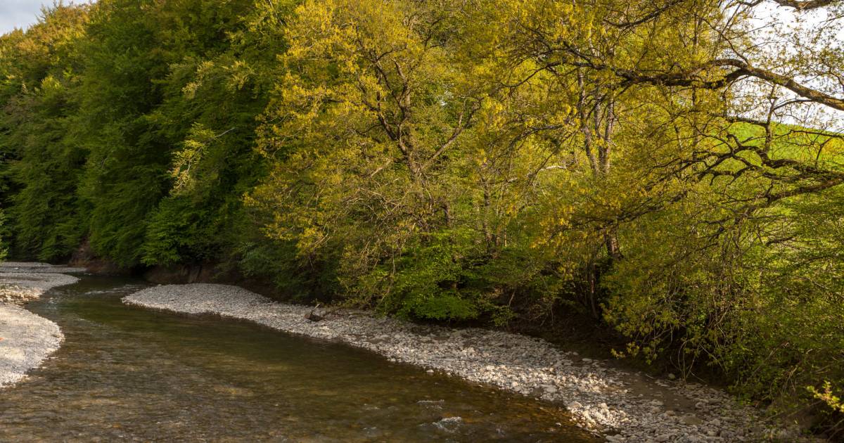 Gérine - la dynamique | WWF Suisse