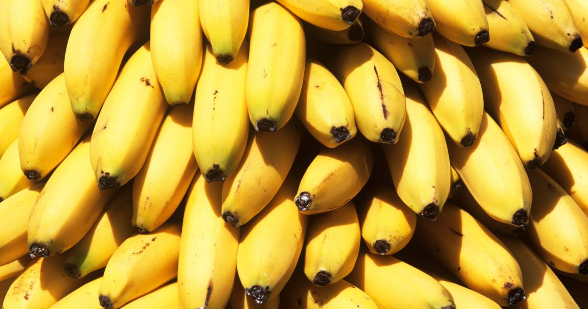 Pour de meilleures bananes | WWF Suisse
