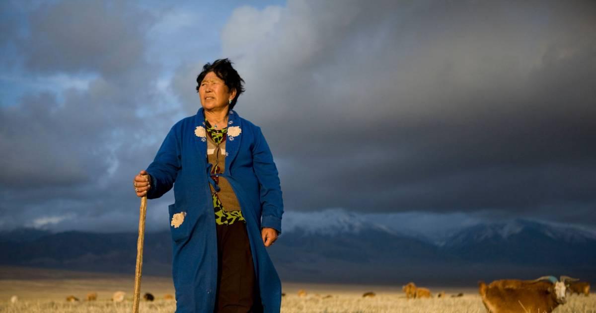 Die Mongolei hörend erleben | WWF Schweiz