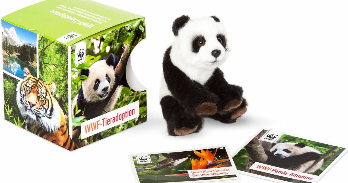 WWF Adoptionsbox «Panda» | WWF-Shop