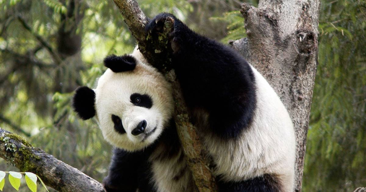 Herzlich willkommen beim WWF | WWF Schweiz