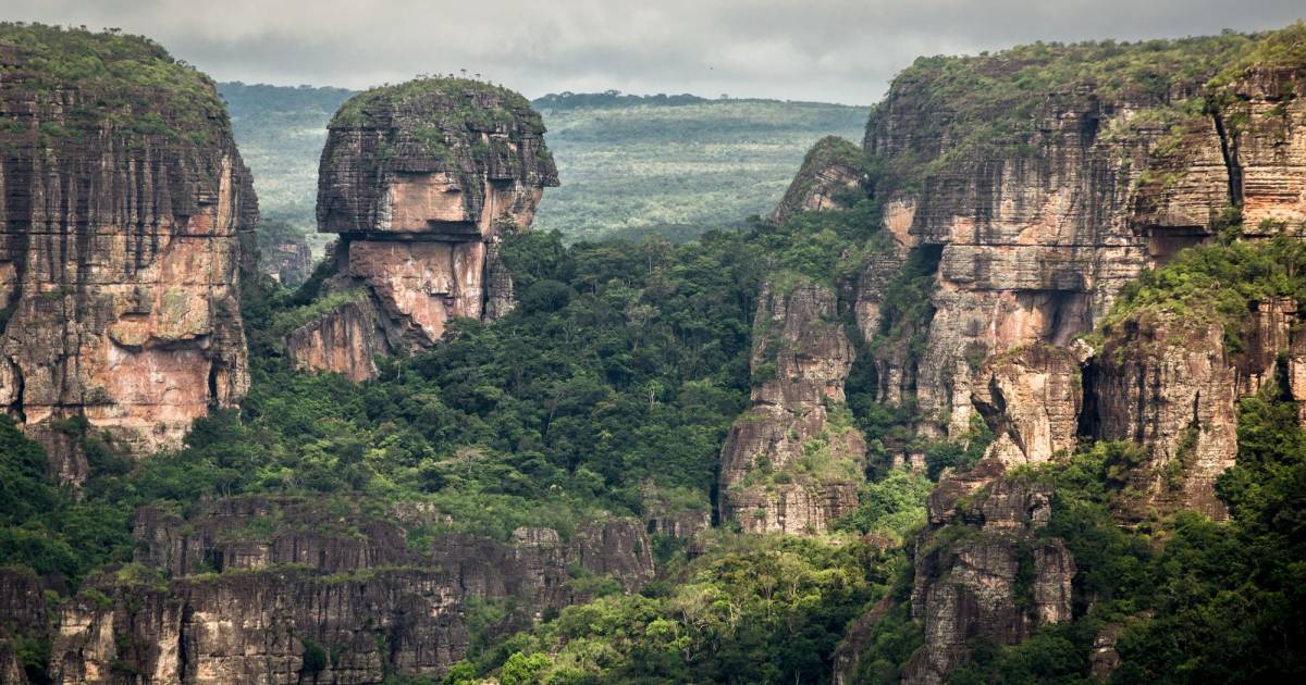 Unsere Projekte | WWF Schweiz