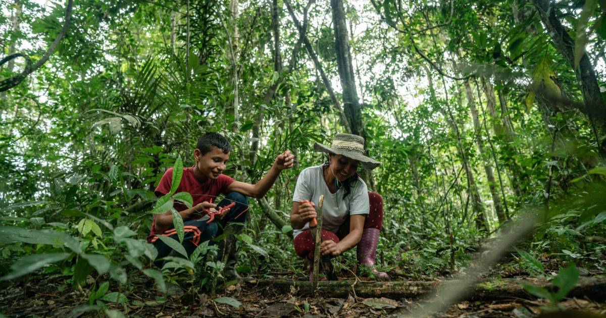 Fondations | WWF Suisse