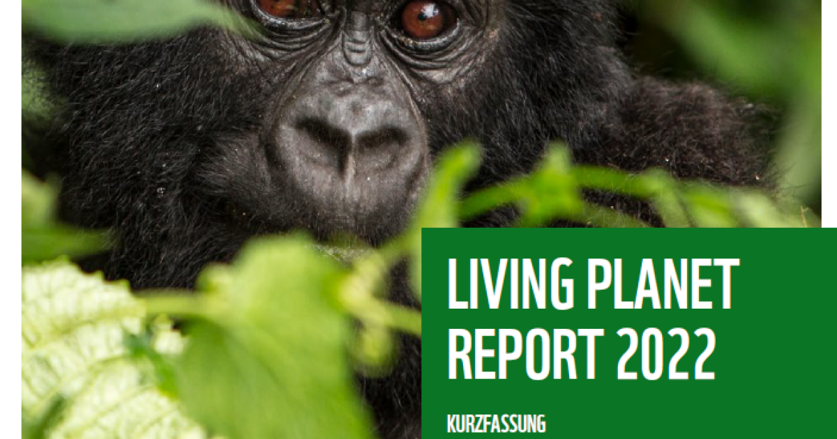 Rapporto del WWF: le popolazioni di animali si riducono del 69% in ...