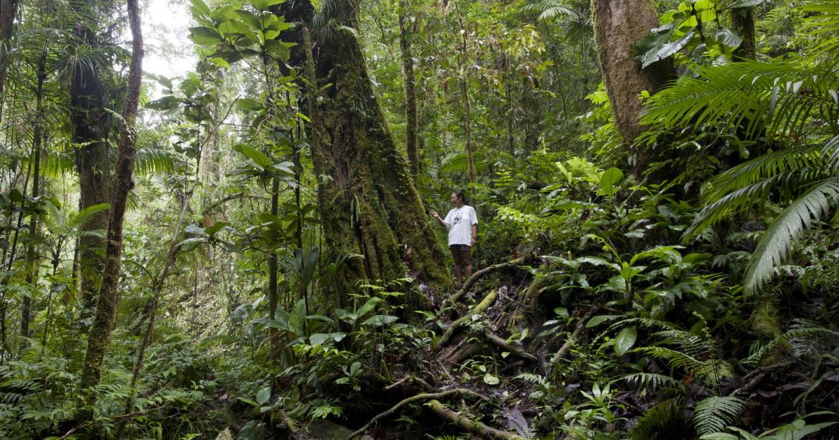Weltweit im Einsatz für den Umweltschutz: das WWF-Jahr 2022 | WWF Schweiz