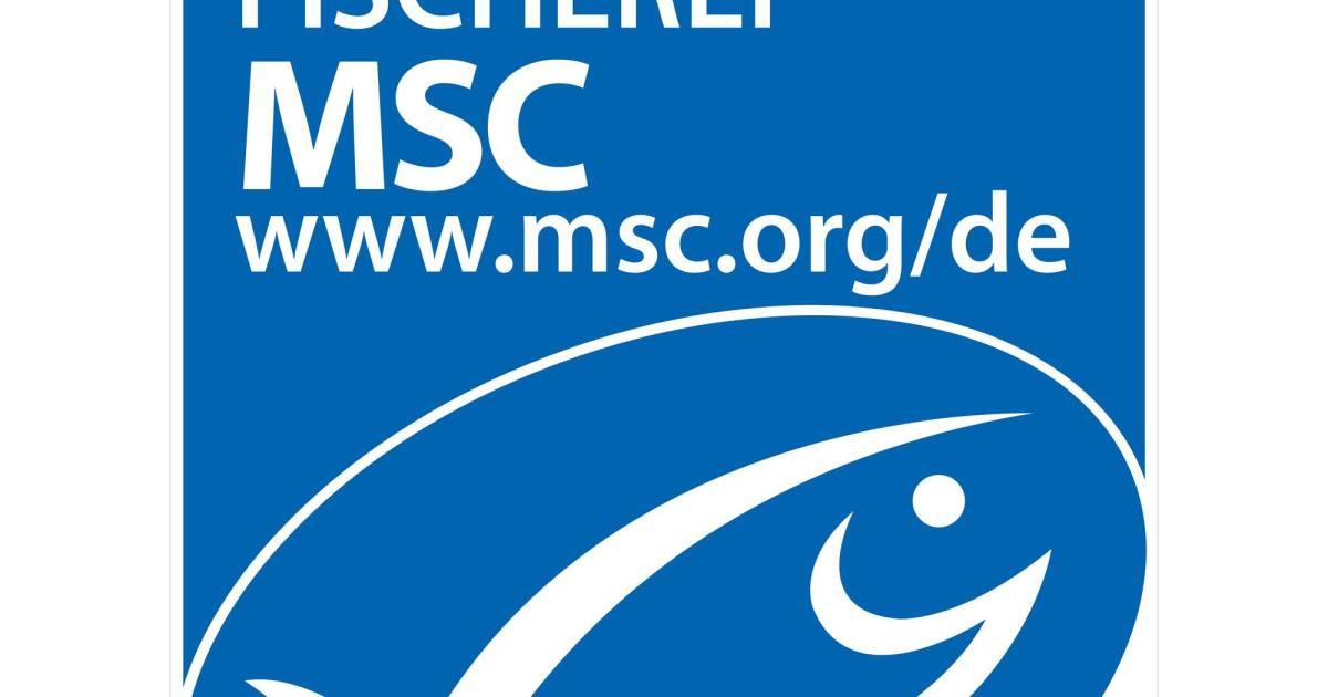 WWF-Einkaufsratgeber: Wie nachhaltig ist das Label MSC - Marine Stewardship Council?