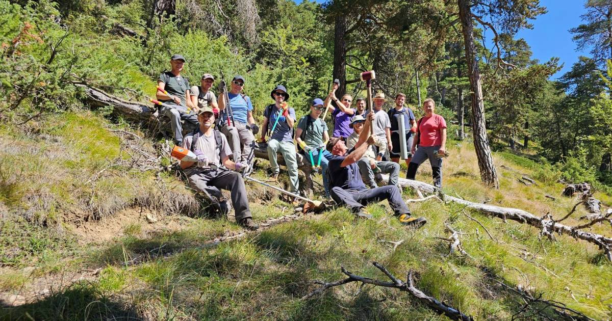 Team-Events mit dem WWF: Ihr Unternehmen für nachhaltiges Engagement ...