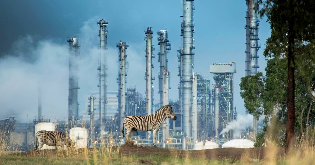 Sept faits importants concernant le nouveau Rapport Planète Vivante ...