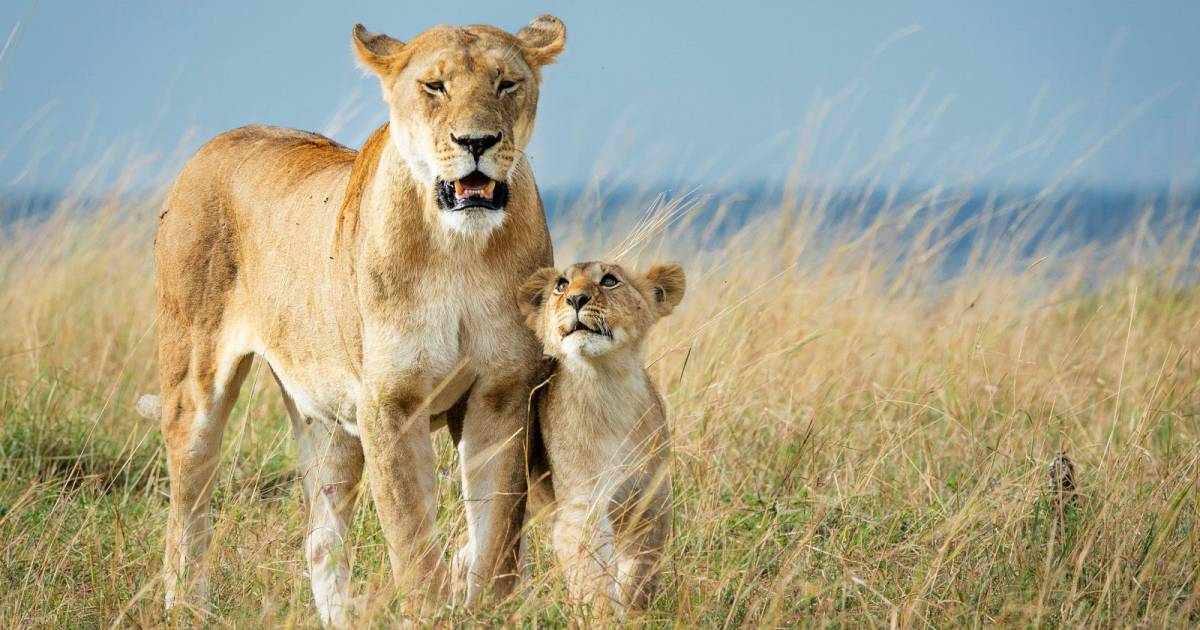 Succès du WWF rétrospective 2024 | WWF Suisse