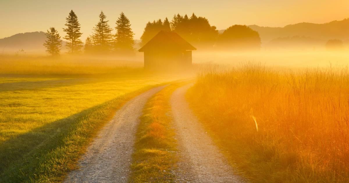 Vergleichsstudie: Schweiz bei Bekämpfung der Biodiversitätskrise auf ...