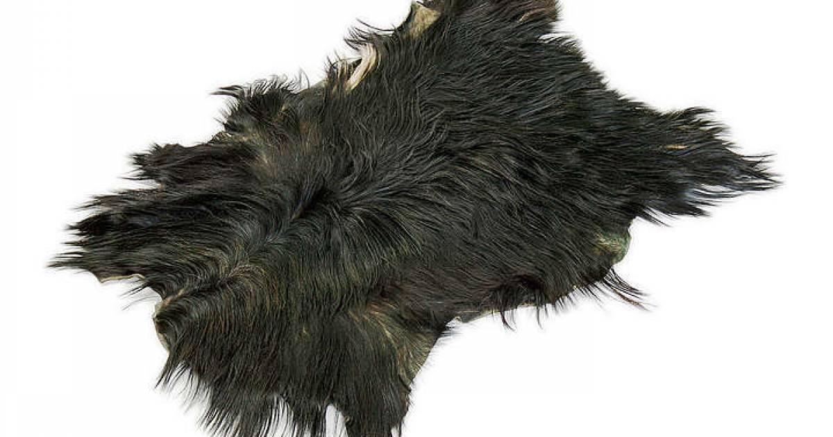 WWF Souvenir Ratgeber: Kann ich Bewilligungsfreie Felle in die Schweiz ...