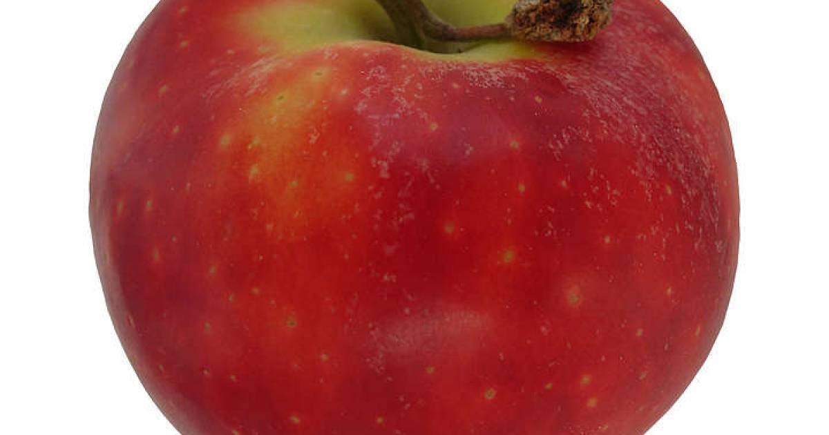 Guide d'achat WWF: est-ce la saison des Pomme, variétés précoces?