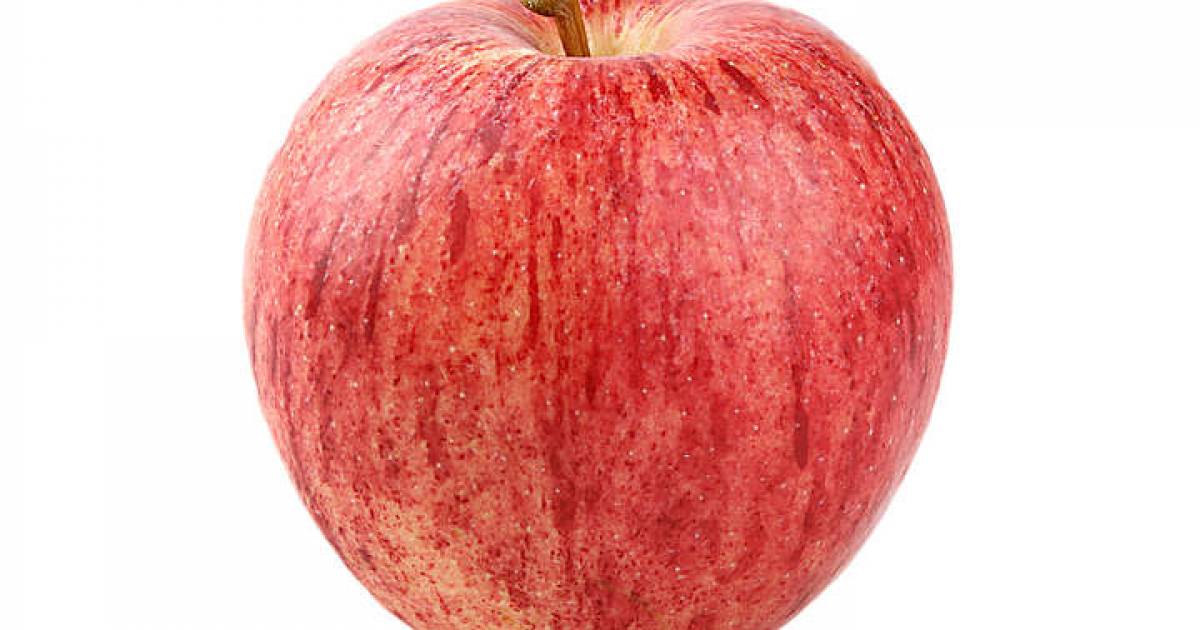 Guide d'achat WWF: est-ce la saison des Pomme, variétés de garde?