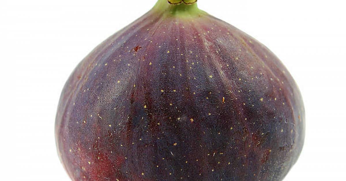 Guide d'achat WWF: est-ce la saison des Figues?