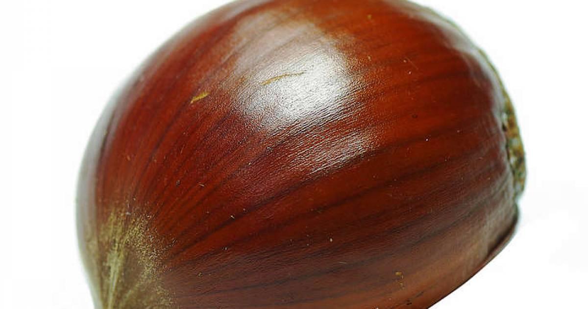 Guide d'achat WWF: est-ce la saison des Marrons?
