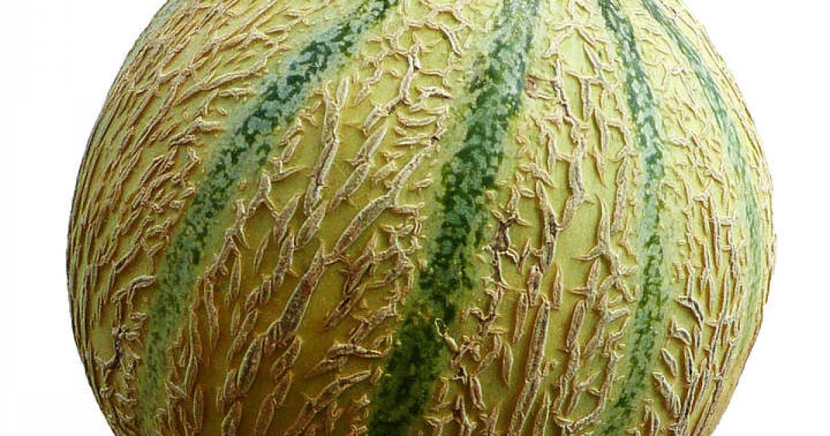 WWF Einkaufsratgeber: Hat Melone gerade Saison?