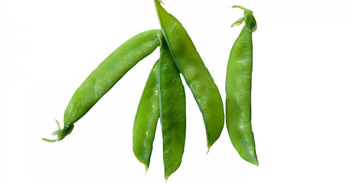 WWF Einkaufsratgeber: Hat Kefen gerade Saison?