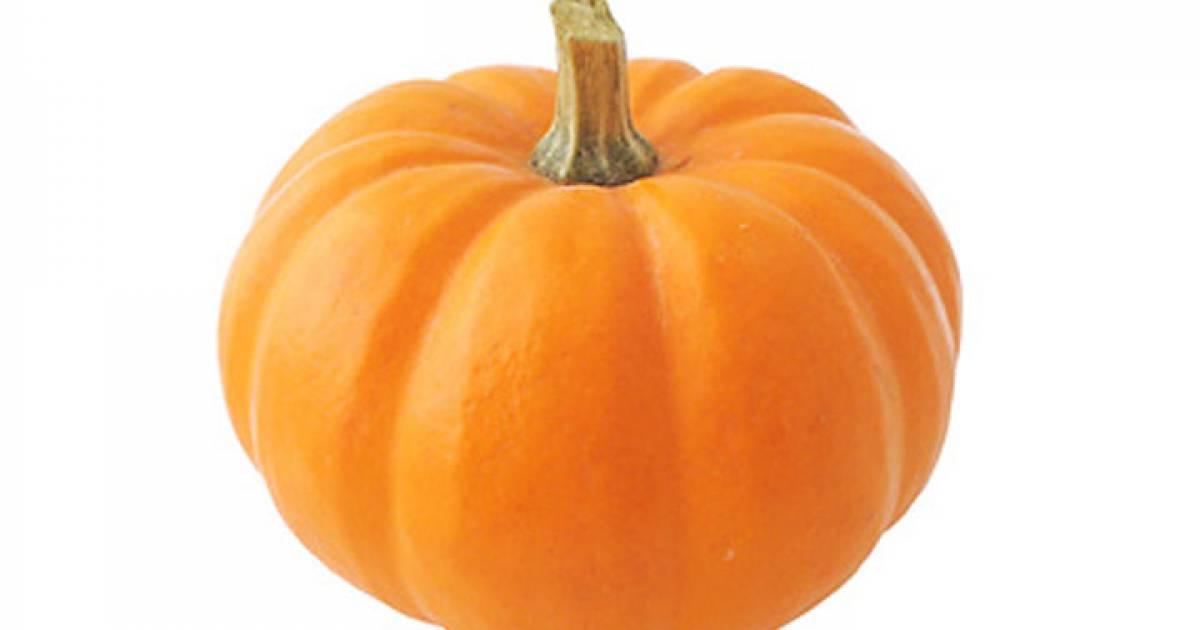 Guide d'achat WWF: est-ce la saison des Courge?