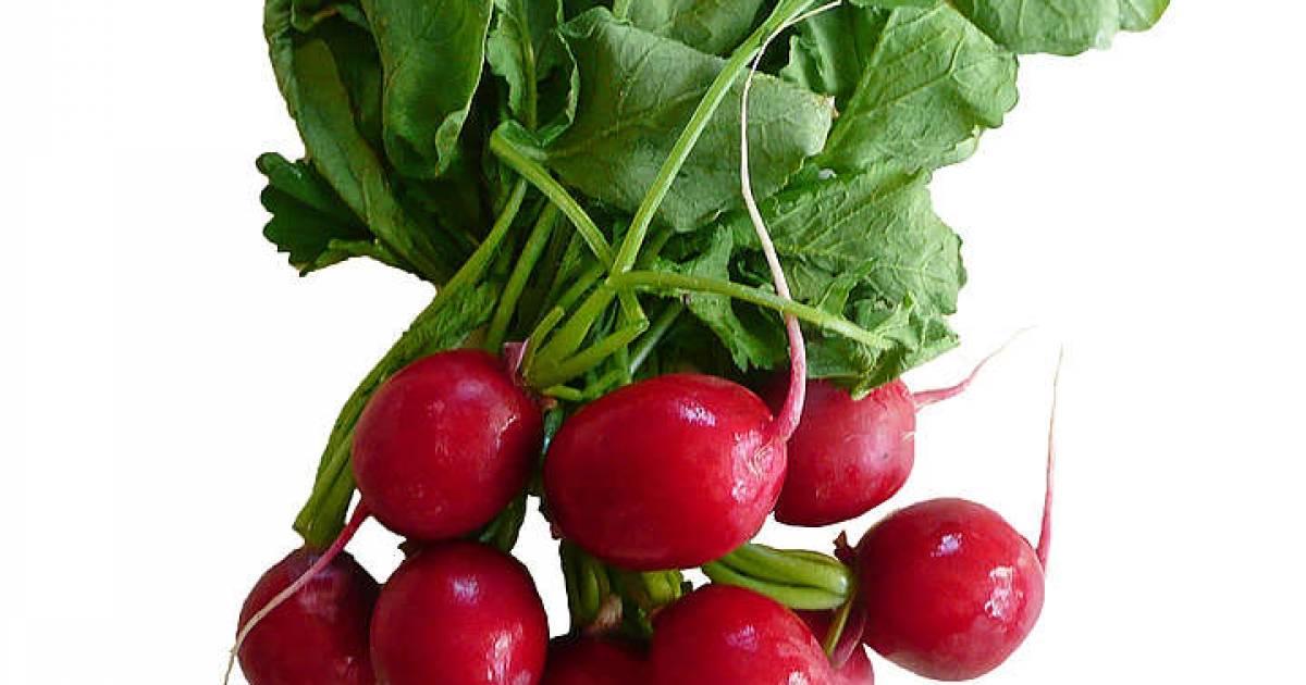 WWF Einkaufsratgeber: Hat Radieschen gerade Saison?