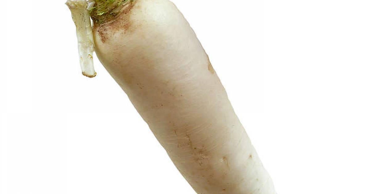 Guide d'achat WWF: est-ce la saison des Radis long blanc?
