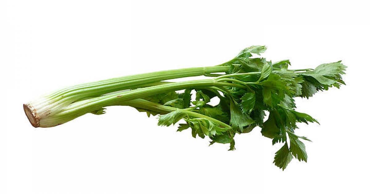 WWF Einkaufsratgeber: Hat Stangensellerie gerade Saison?
