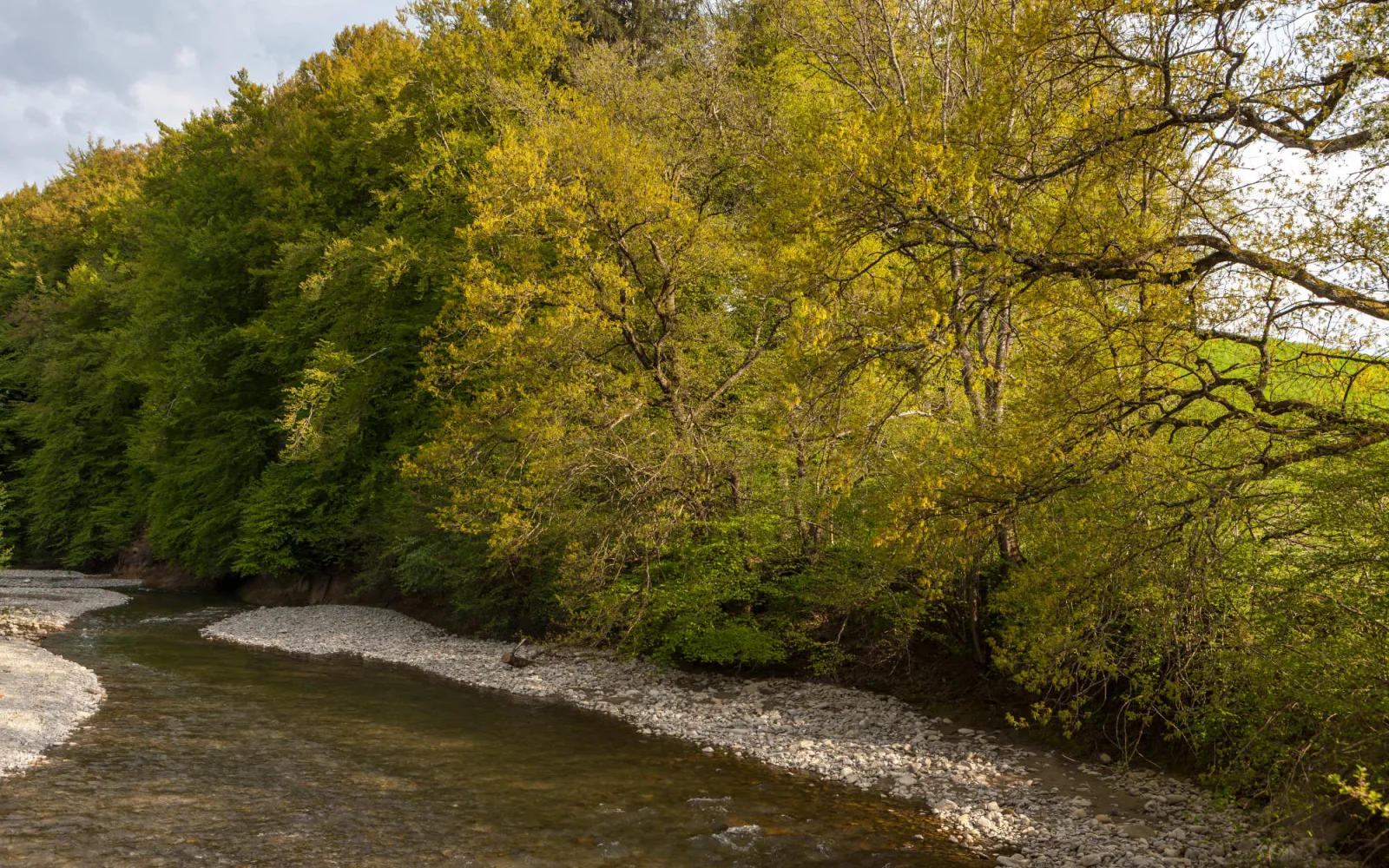 Ausflugsziel Ägera/Gérine - die Dynamische | WWF Schweiz