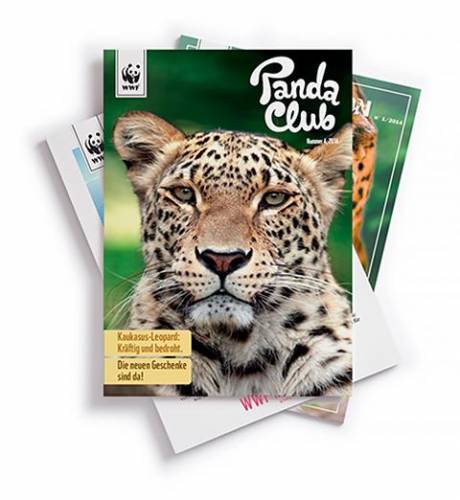 Mitgliedschaft Panda Club | WWF Schweiz